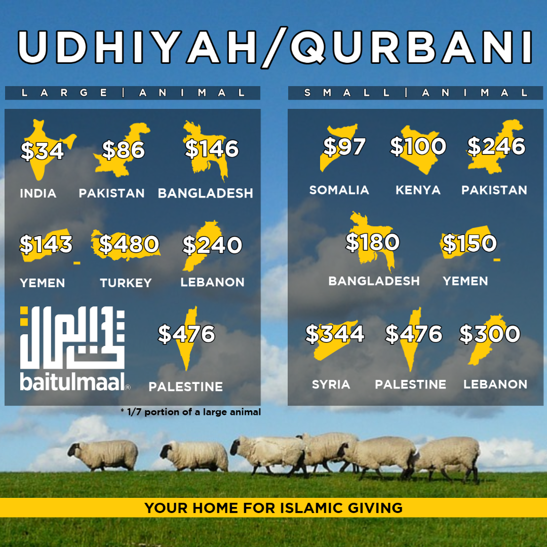 Udhiyah / Qurbani | Baitulmaal